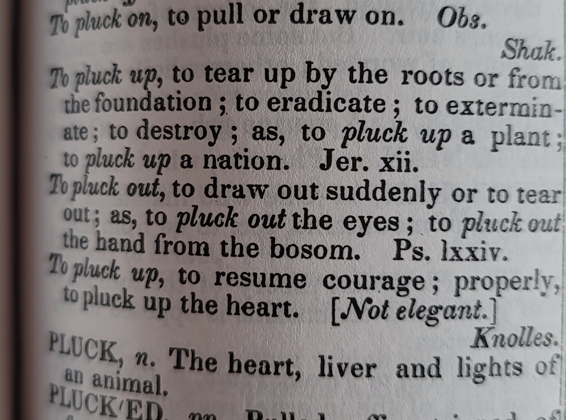 Pluck Defined – Pistol & Pluck, LLC